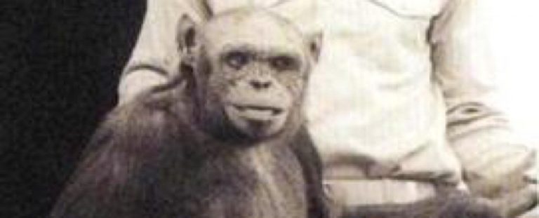 oliver-humanzee-chimp-hybrid – Unexplained Mysteries